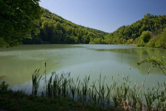 Lac de Lucelle – Delémont région